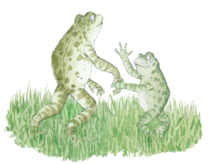 The Giant Jumperee - Julia Donaldson