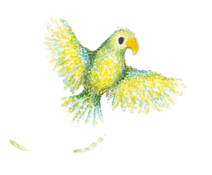 The Go-Away Bird - Julia Donaldson