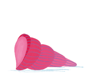 Sharing a Shell - Julia Donaldson