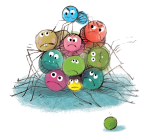 Spinderella - Julia Donaldson