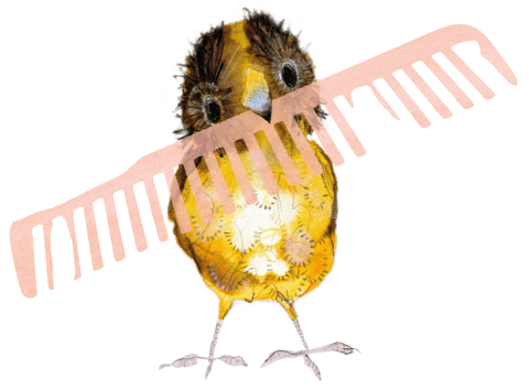 The Bowerbird - Julia Donaldson